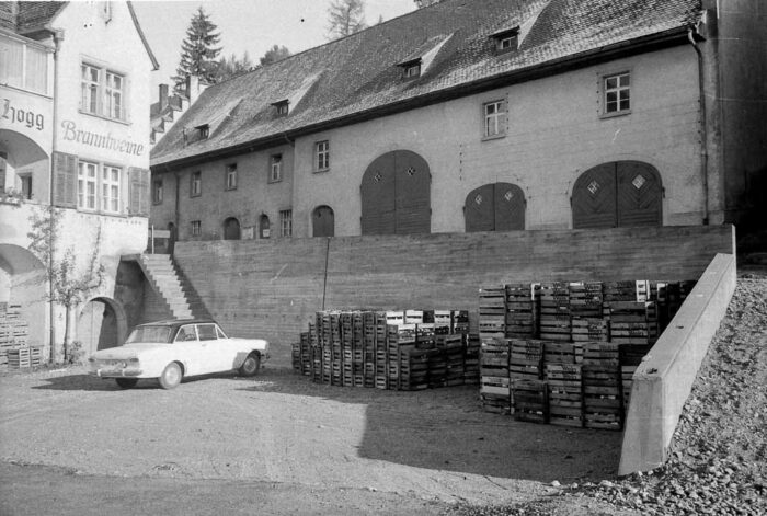 Haus Benitz und Ökonomiegebäude in der Alenbergstraße, 1973 - Löffingen ...